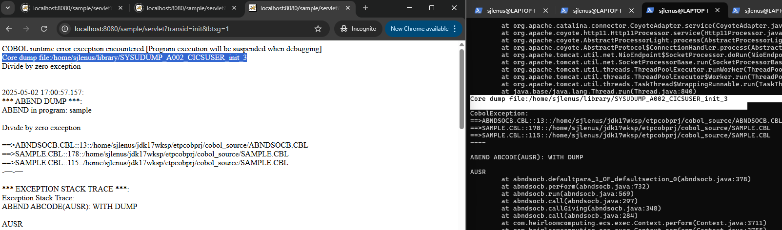 How to use the runtime's exception core dump to view a snapshot of the data at the time of the ...